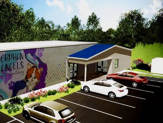 Building Fund | Orphan Angels Cat Sanctuary And Adoption Center